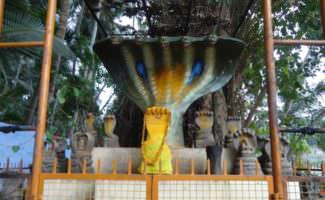 Nagercoil Nagaraja Temple | Timings, Rituals & Poojas | Ultimate Guide