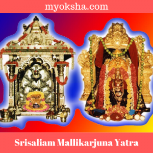 Srisailam Mallikarjuna Yatra | Andhra Pradesh | Jyotirlinga | Book Now